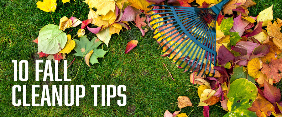 10 Fall Cleanup Tips - Cotton's Ace Hardware Store